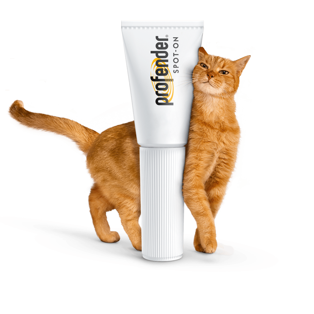 Profender - VetPharma